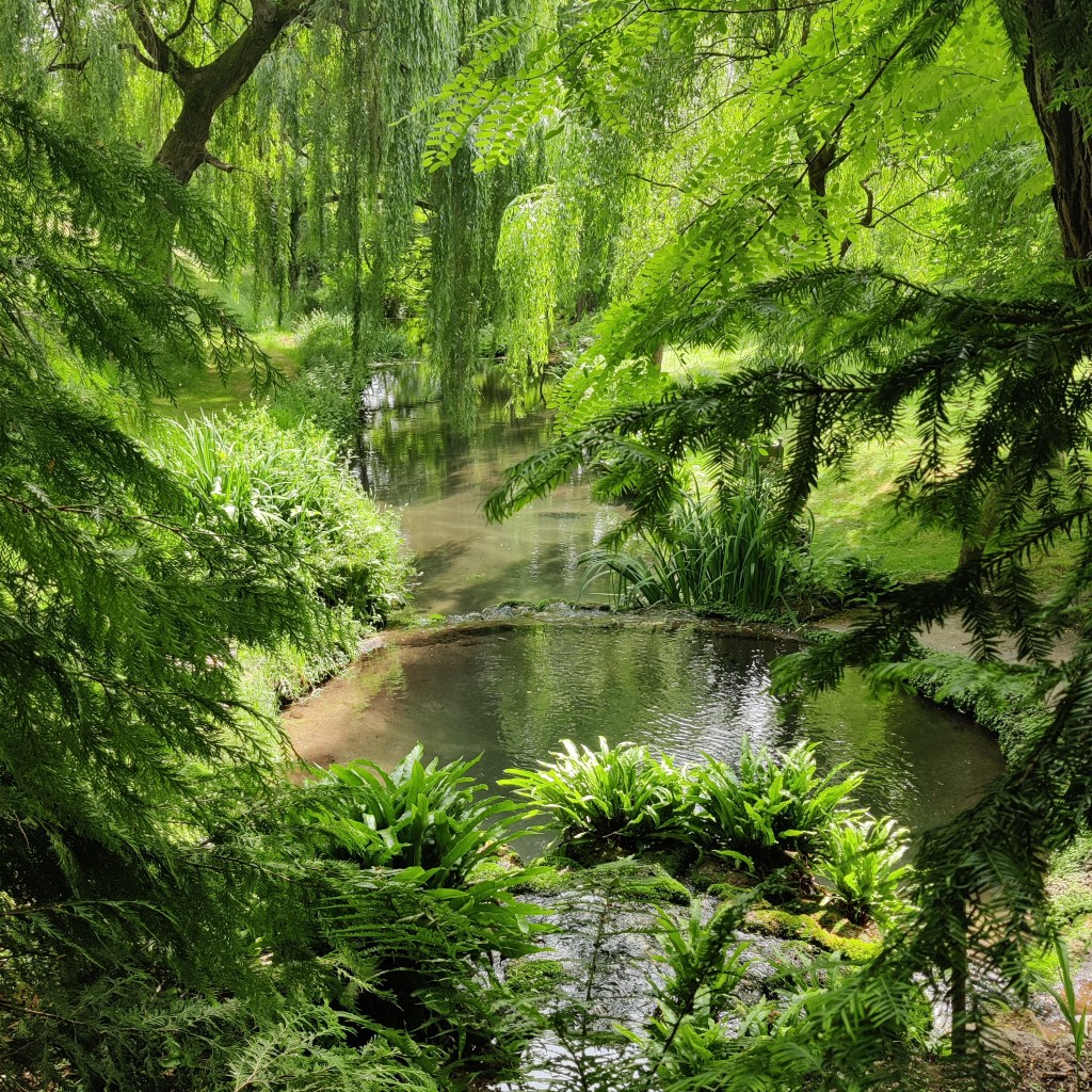 Poetry – The writings of Revd Tim Buckley